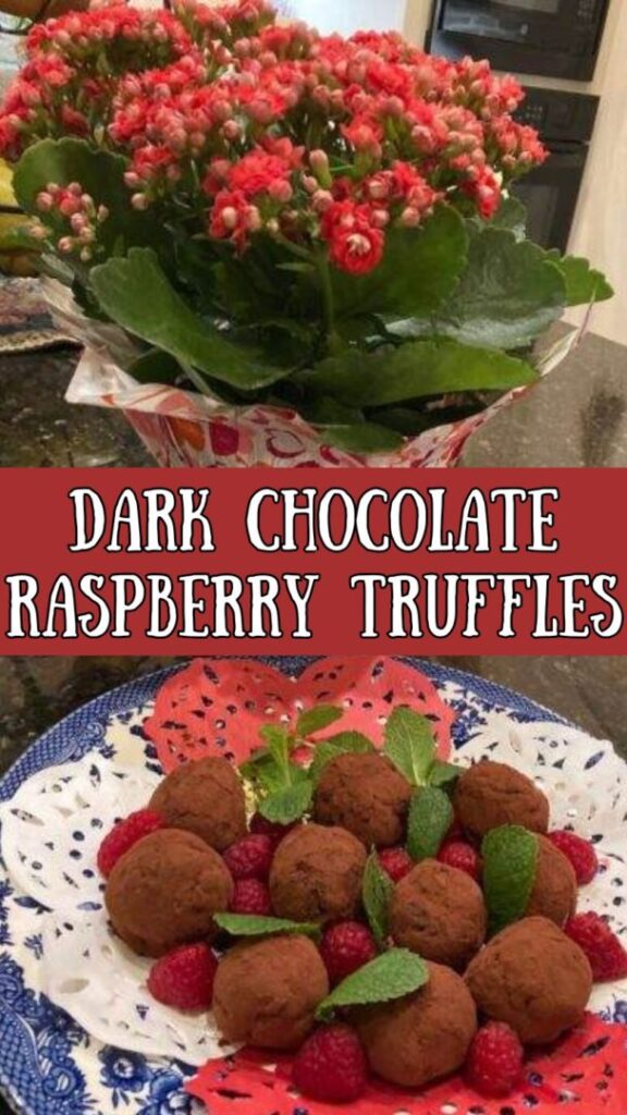Dark Chocolate Raspberry Truffles - Out of the Box Baking
