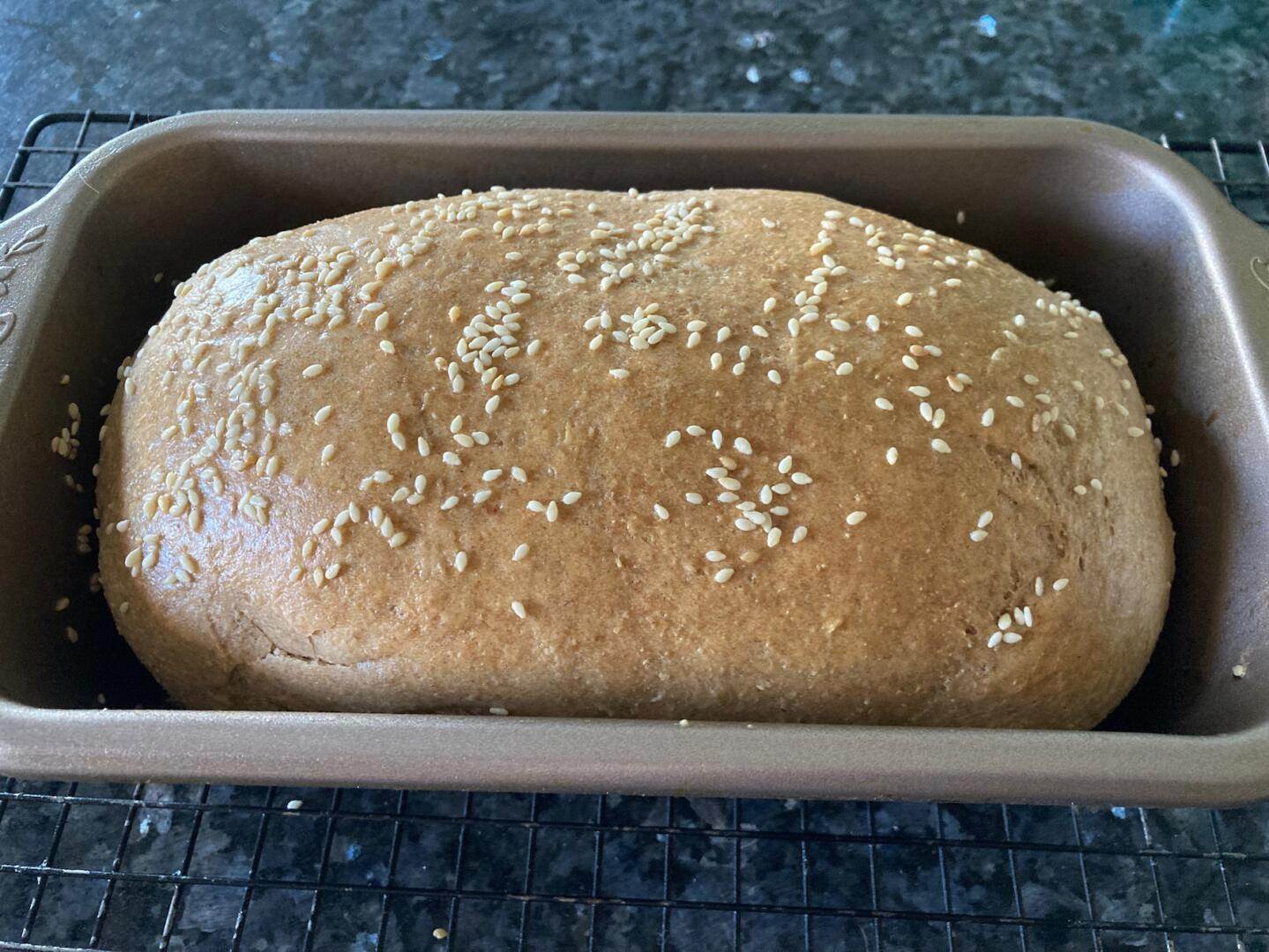 Classic Wheat Bread from Scratch - Out of the Box Baking