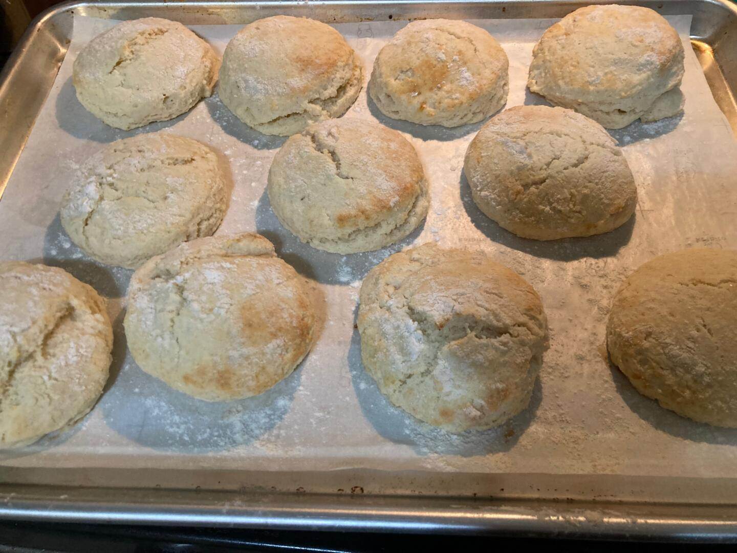 How to Make Homemade Butter Biscuits from Scratch - Out of the Box Baking