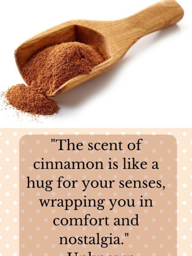 101 Tasty Quotes about Cinnamon - Out of the Box Baking