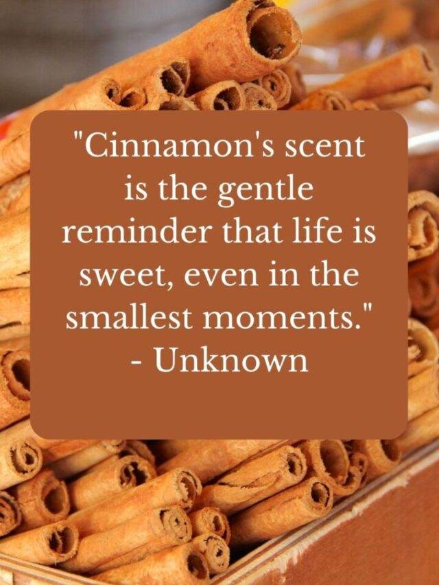 101 Tasty Quotes about Cinnamon - Out of the Box Baking