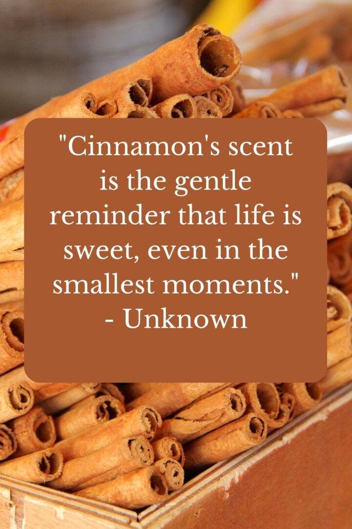 101 Tasty Quotes about Cinnamon - Out of the Box Baking