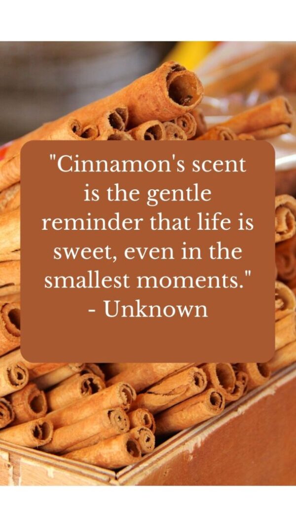 101 Tasty Quotes about Cinnamon - Out of the Box Baking