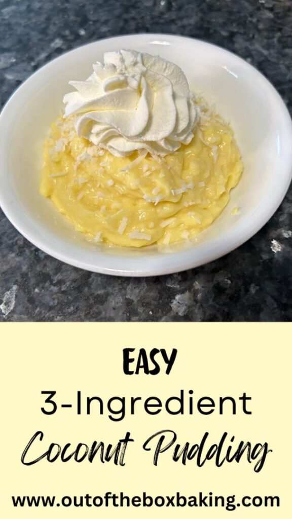 Simple 3-Ingredient Coconut Pudding - Out of the Box Baking