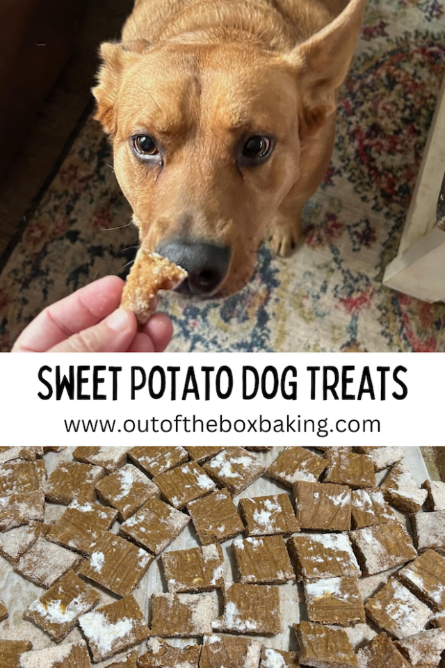 Easy Sweet Potato Dog Treats - Out of the Box Baking