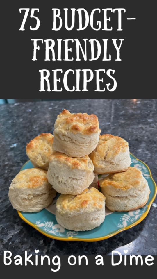 Baking on a Dime: 50 Budget-Friendly Recipes - Out of the Box Baking