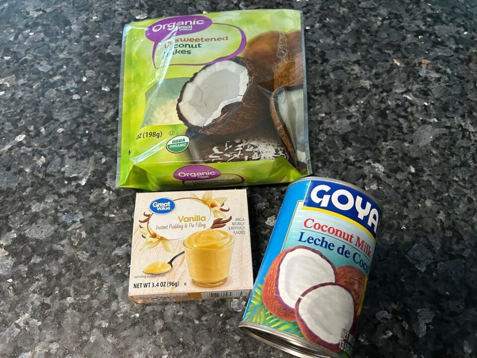 Simple 3-Ingredient Coconut Pudding - Out of the Box Baking