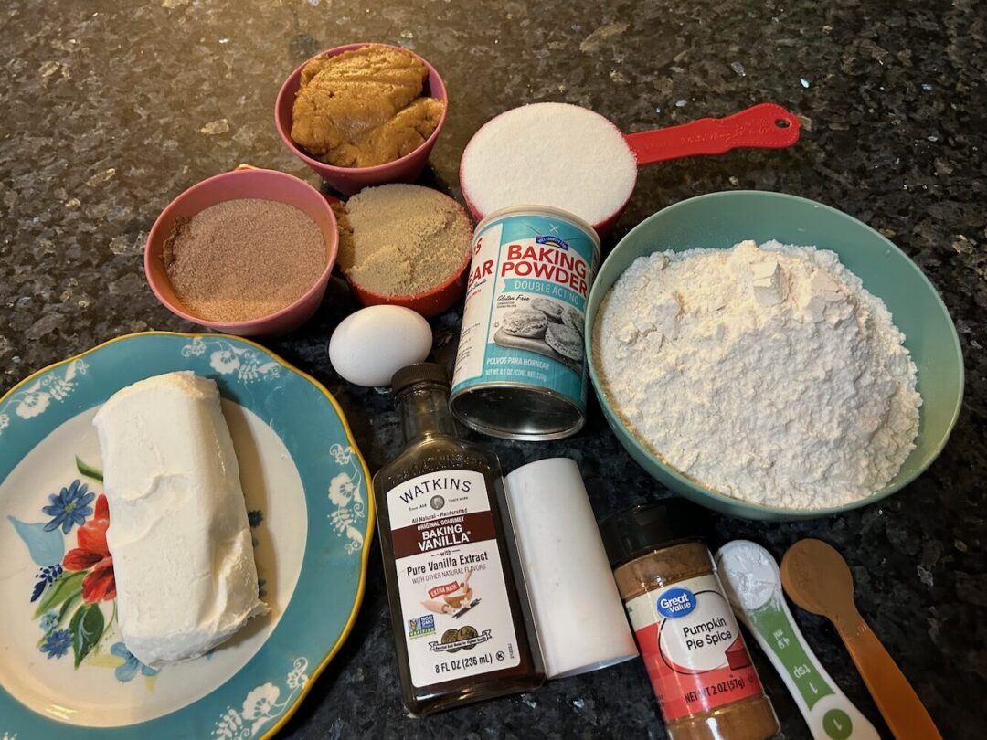 Easy Pumpkin Snickerdoodles - Out of the Box Baking