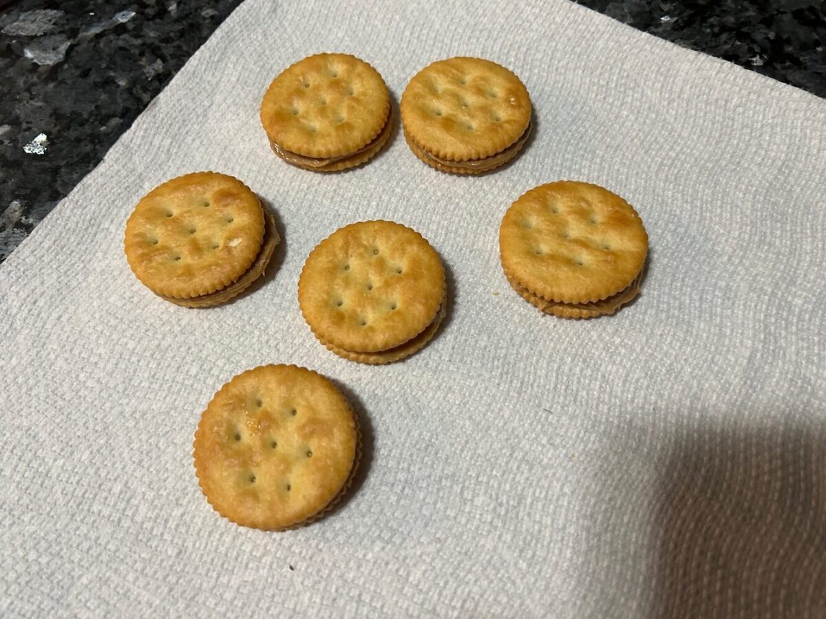 Chocolate Covered Peanut Butter Crackers (in a mold) - Out of the Box ...