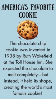 The Ultimate Guide: Fun & Fascinating Cookie Facts 🍪 - Out of the Box ...
