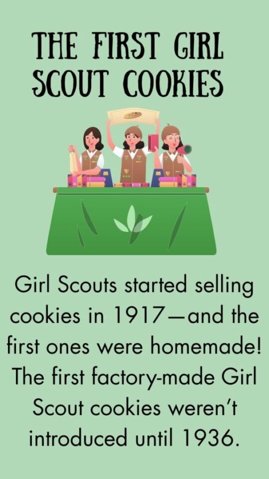 The Ultimate Guide: Fun & Fascinating Cookie Facts 🍪 - Out of the Box ...