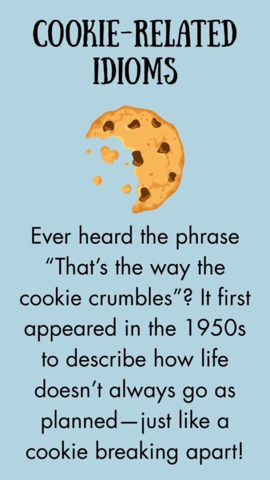 The Ultimate Guide: Fun & Fascinating Cookie Facts 🍪 - Out of the Box ...