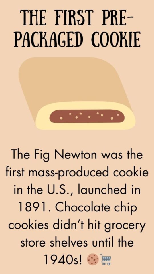 The Ultimate Guide: Fun & Fascinating Cookie Facts 🍪 - Out of the Box ...