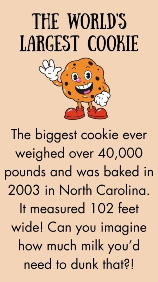 The Ultimate Guide: Fun & Fascinating Cookie Facts 🍪 - Out of the Box ...