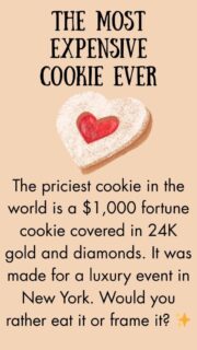 The Ultimate Guide to Fun & Fascinating Cookie Facts 🍪 - Out of the Box ...