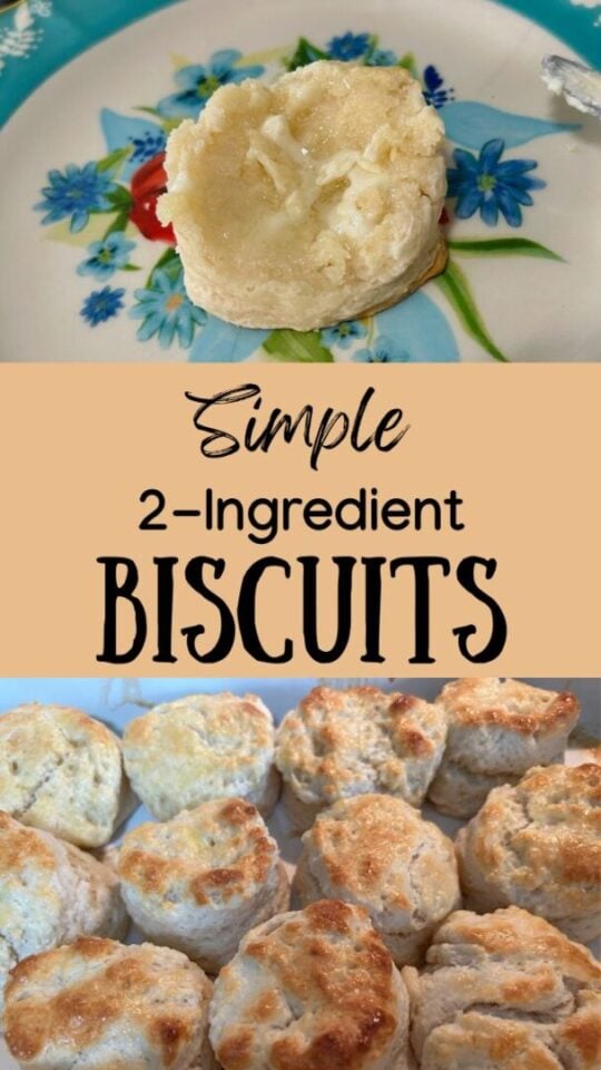 Simple 2-Ingredient Biscuits - Out of the Box Baking