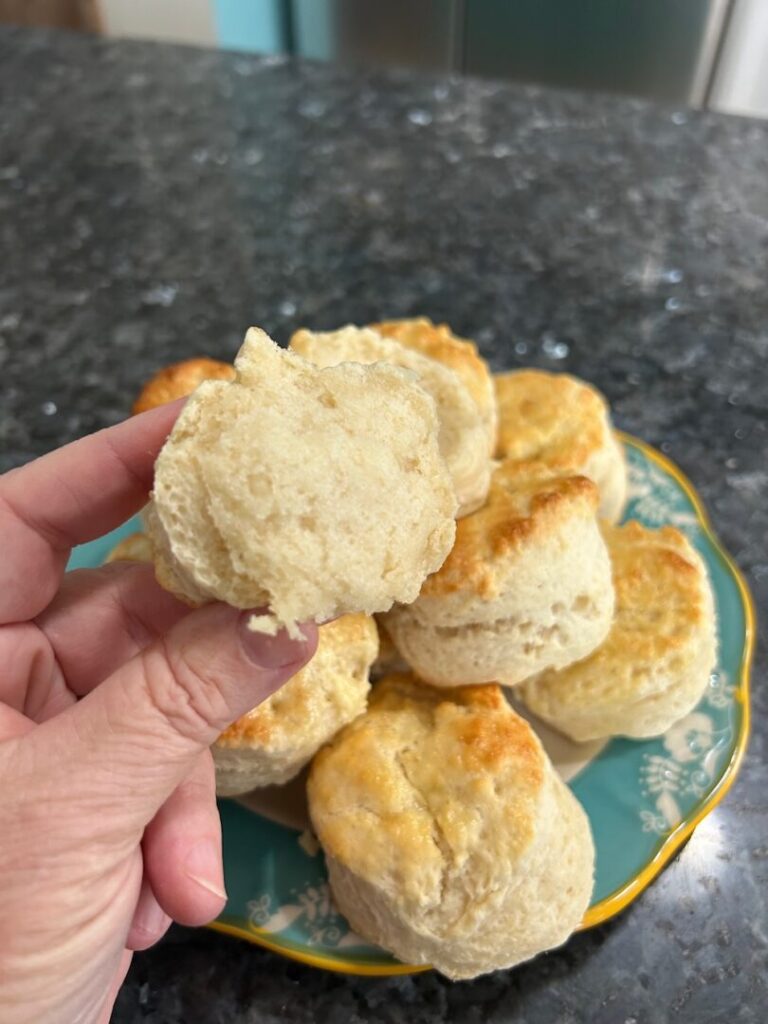 Simple 2-Ingredient Biscuits - Out of the Box Baking