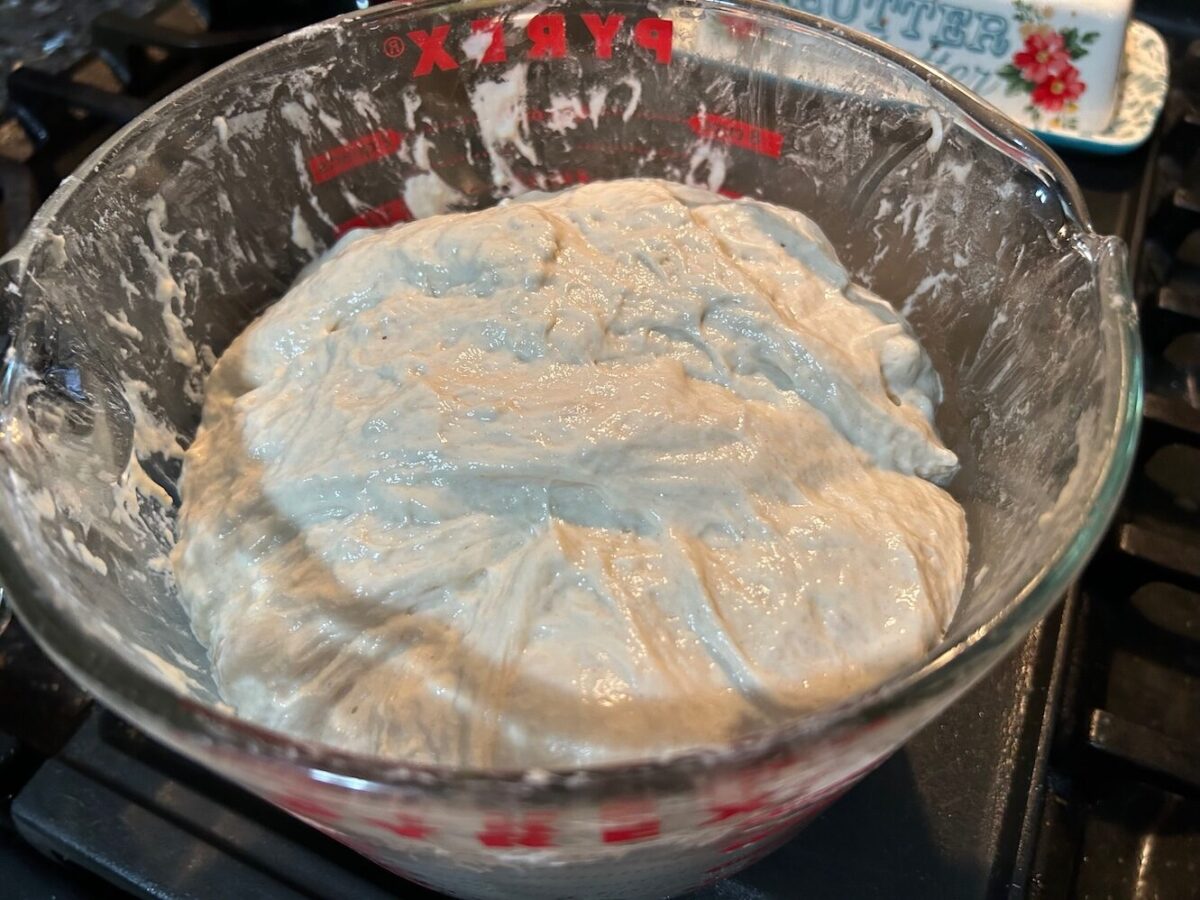 Sourdough Pizza Dough - Out of the Box Baking