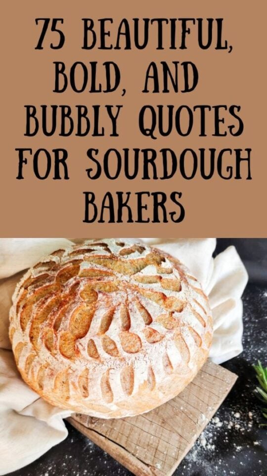 75 Beautiful, Bold, and Bubbly Quotes for Sourdough Bakers - Out of the ...