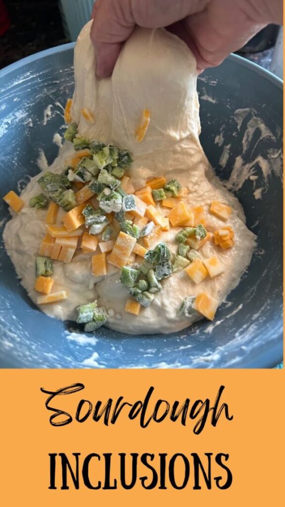 Delicious Sourdough Inclusions - Out of the Box Baking