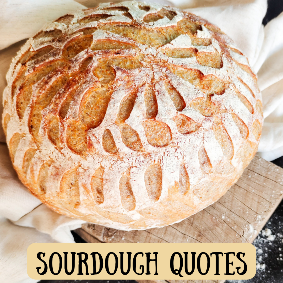 75 Beautiful, Bold, and Bubbly Quotes for Sourdough Bakers - Out of the ...